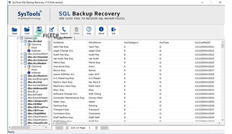 SysTools SQL Backup Recovery 11 6 FileCR