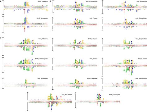 Methyl Gp Accurate Generic Dna Methylation Prediction Based On A Language Model And