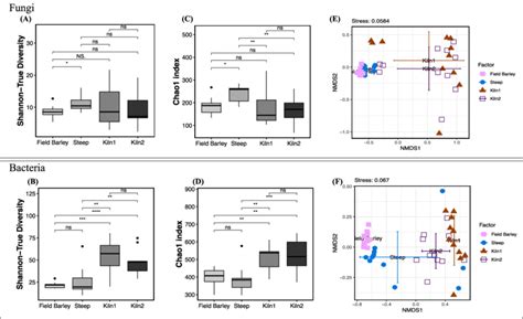 Diversity Of The Fungal And Bacterial Communities Associated With The Download Scientific