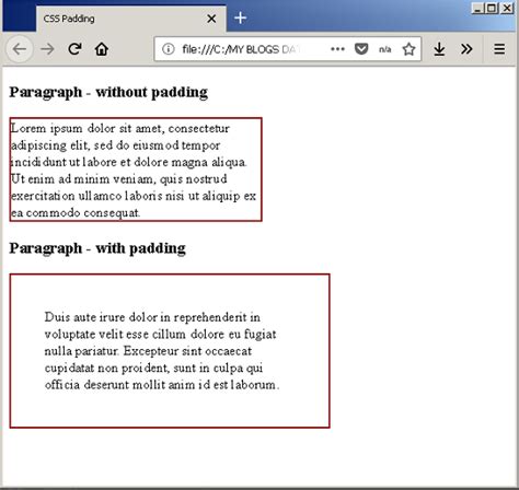 CSS Padding