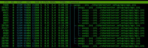 Python 3x Flaskuwsgi Too Many Processes After Some Time Stack