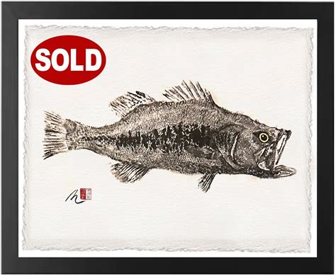 Largemouth Bass Matt Mullikin