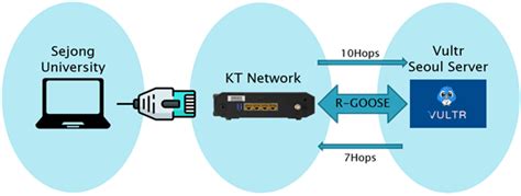 R Goose Rtt Measurement Over A Public Internet Network Download