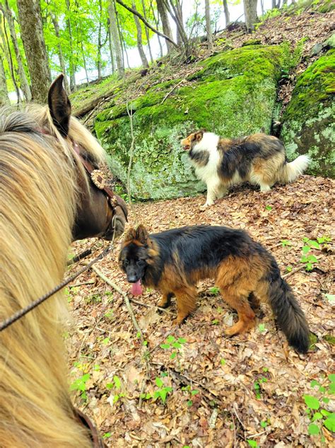 Laura Hark Plumley Added A New Photo Laura Hark Plumley