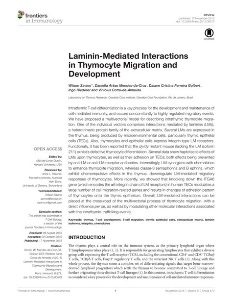 Pdf Laminin Mediated Interactions In Thymocyte Migration And Development