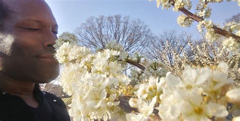 Roger Wright Singer Songwriter Actor