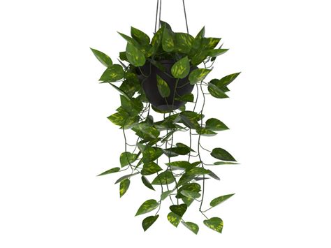 Artstation Alexey Sergeev