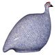 La Pintade Caillard Guinea Hens Available In All Color And Size