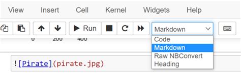 How To Display Local And Web Images In Jupyter Notebook