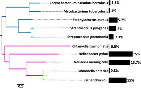 small things considered noncoding dna and bacterial evolution