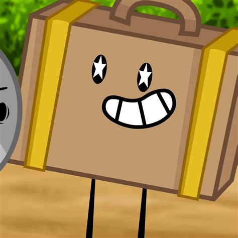 Suitcase ♡ Suitcase Favorite Character Objects
