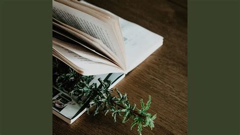 마음의 양식 Youtube