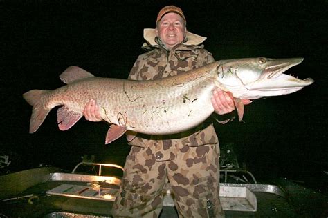 World Record Muskie World Record Catch And Release Muskie