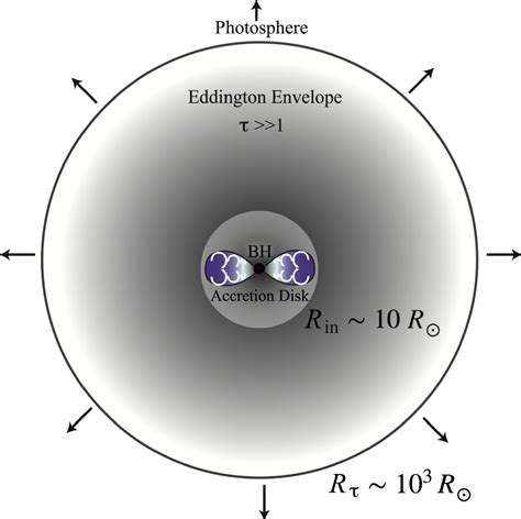 Rethinking ThorneŻytkow Object Formation Assembly Via Common Envelope