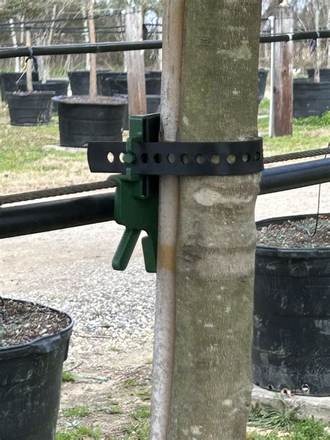 Ch Products Releases New Tree Stabilizer Lawn And Landscape