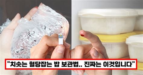 치솟는 혈당 잡으려면 밥 이렇게 보관해야합니다 냉동밥 Vs 냉장밥 논쟁 종결과 혈당잡는 비밀 한 큰술 뉴스를 싣고