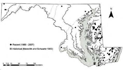 The Distributions Of Procambarus Acutus In Maryland Download Scientific Diagram