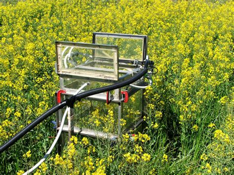 Soil Salinity Explained Soil Quality Knowledge Base