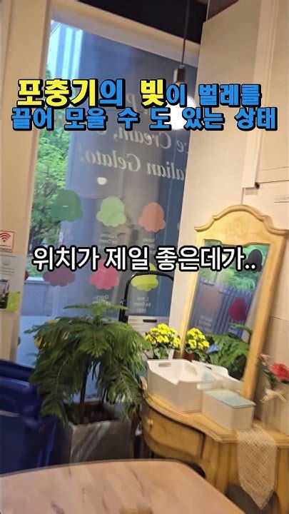포충기 위치는 어디가 좋을까 해충방제 벌레퇴치 벌레 포중기 벌레퇴치기 날파리 하루살이 파리 초파리 화이트라인