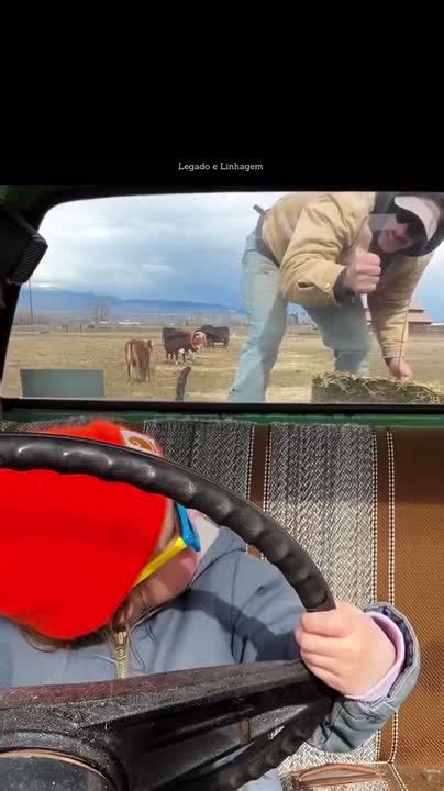 Mohsen Jalali On Linkedin حمایت امن یعنی با وجود تمام مراقبتها فضای رشد و توسعه کارمند رو فراهم