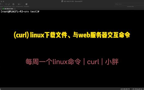 curllinux文件下载服务器交互 哔哩哔哩 bilibili curllinux文件下载服务器交互 哔哩哔哩 bilibili
