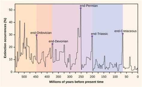 Mass Extinctions And The Tree Of Life Over Geologic Time Organismal