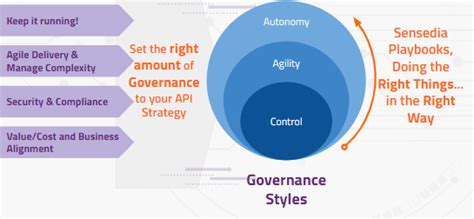 API Adaptive Governance How It Impacts Your Operation And Business