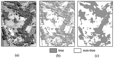 Fig Extracting Percent Tree Cover From Very High Resolution Quickbird Download Scientific