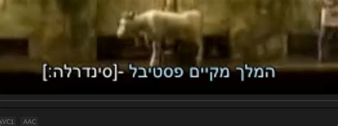Hebrew Text Looks Fine In Preview But Not After Generating Video W
