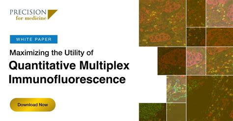 Precision For Medicine On Linkedin Lab Services And Biomarker Assays Designed For Precision