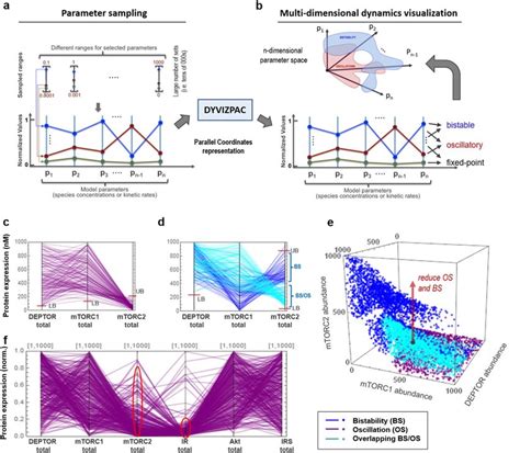 multi dimensional analysis and visualisation of network dynamics a b