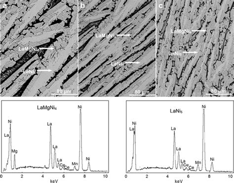 SEM Images Together With Typical EDS Spectra Of The As Cast Alloys A Download Scientific