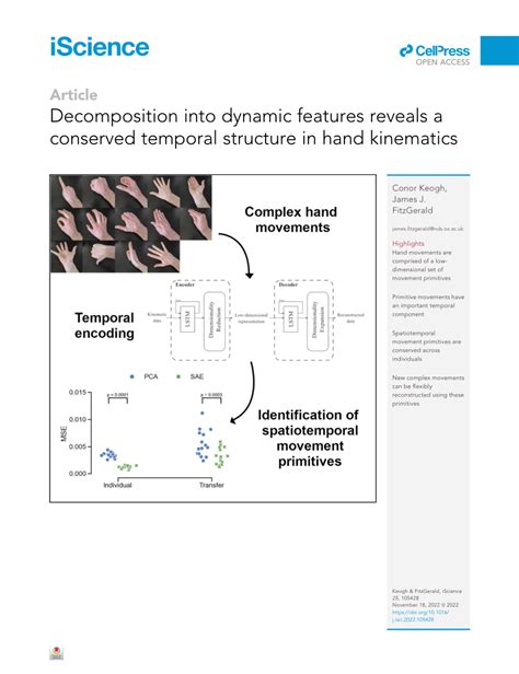 pdf decomposition into dynamic features reveals a conserved temporal