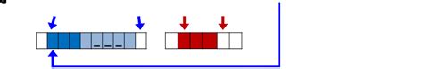 C Standard Library Finding Algorithms Hacking C