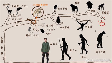 人类在进化过程中，为何只保留了特定部位的毛发？