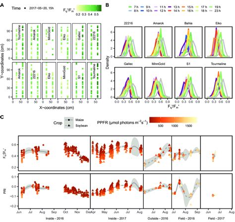 automated phenotyping systems captured the dynamic of photosynthesis in