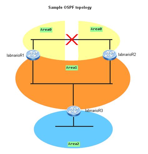 ospf virtual link update labnario
