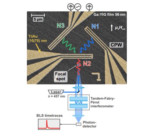 All Magnonic Neurons Enable Analog Neural Networks With Tunable Fading