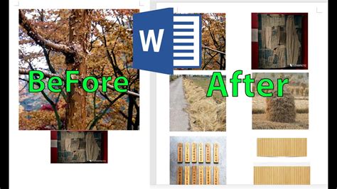 powerpoint make all pictures same size printable templates