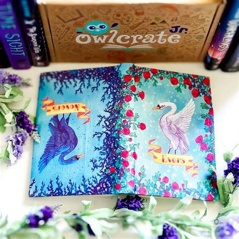 The School For Good And Evil Nevers And Evers Fabric Book Cover