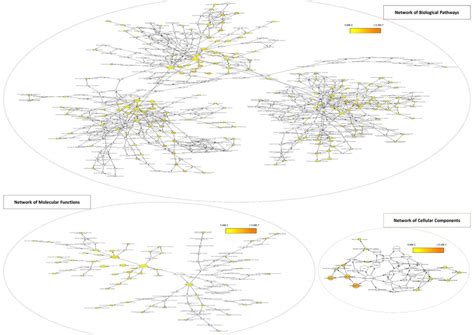 Interactive Tree Constructed Using Bingo A Biological Network Gene