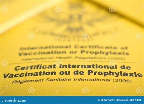 Indonesian International Vaccination Or Prophylaxis Certificate Book Royalty Free Stock Image