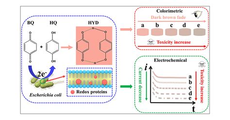 Colorimetric And Electrochemical Dual Signal Method For Water Toxicity Detection Based On