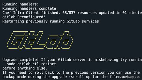 Gitlab 跨版本升级13 8 13 12 10 14 0 0 14 1 5 14 8 2 良人眷 博客园