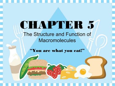 Micromolecules And Macromolecules Pptx