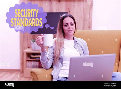 Text Caption Presenting Security Standards Concept Meaning The Scope