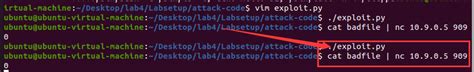 Seed Lab Buffer Overflow Attack Lab Server Versionseedlab缓冲区溢出实验 Csdn博客