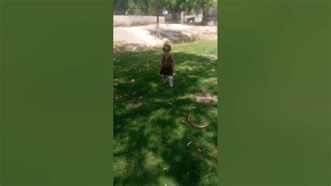 Cute Bavy Enjoy Youtube