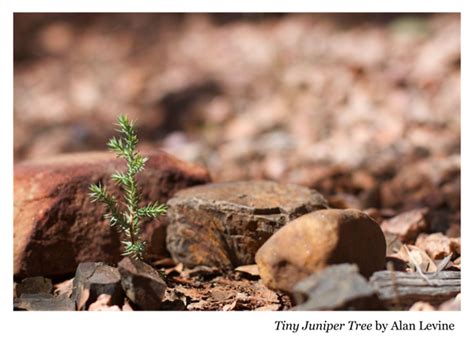 Reusing Limited Resources Creative Constraints In Writing Part 2