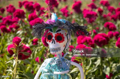 죽은 자의 날 축하 행사를 위한 다채로운 카트리나 피규어는 멕시코 문화의 캐릭터를 대표합니다 La Calavera Catrina에 대한 스톡 사진 및 기타 이미지 Istock
